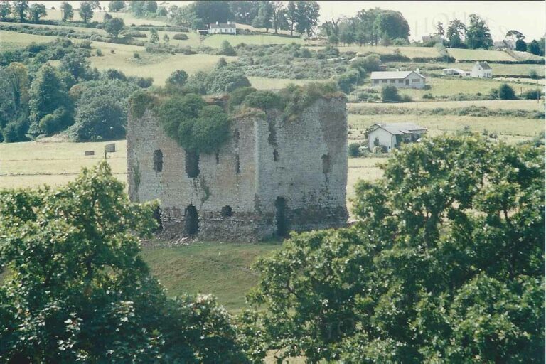 Grennan Castle, Co. Kilkenny - Irish Tower Houses & Castles