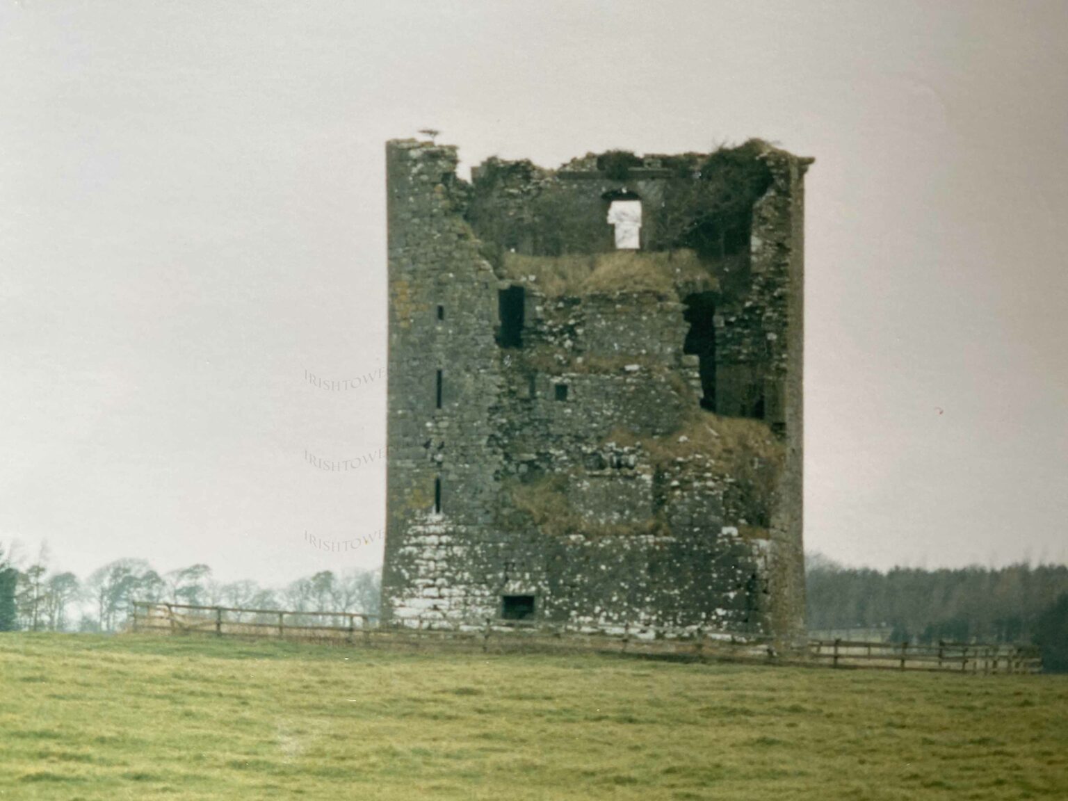 Ballydoyle Castle, Co. Tipperary - Irish Tower Houses & Castles