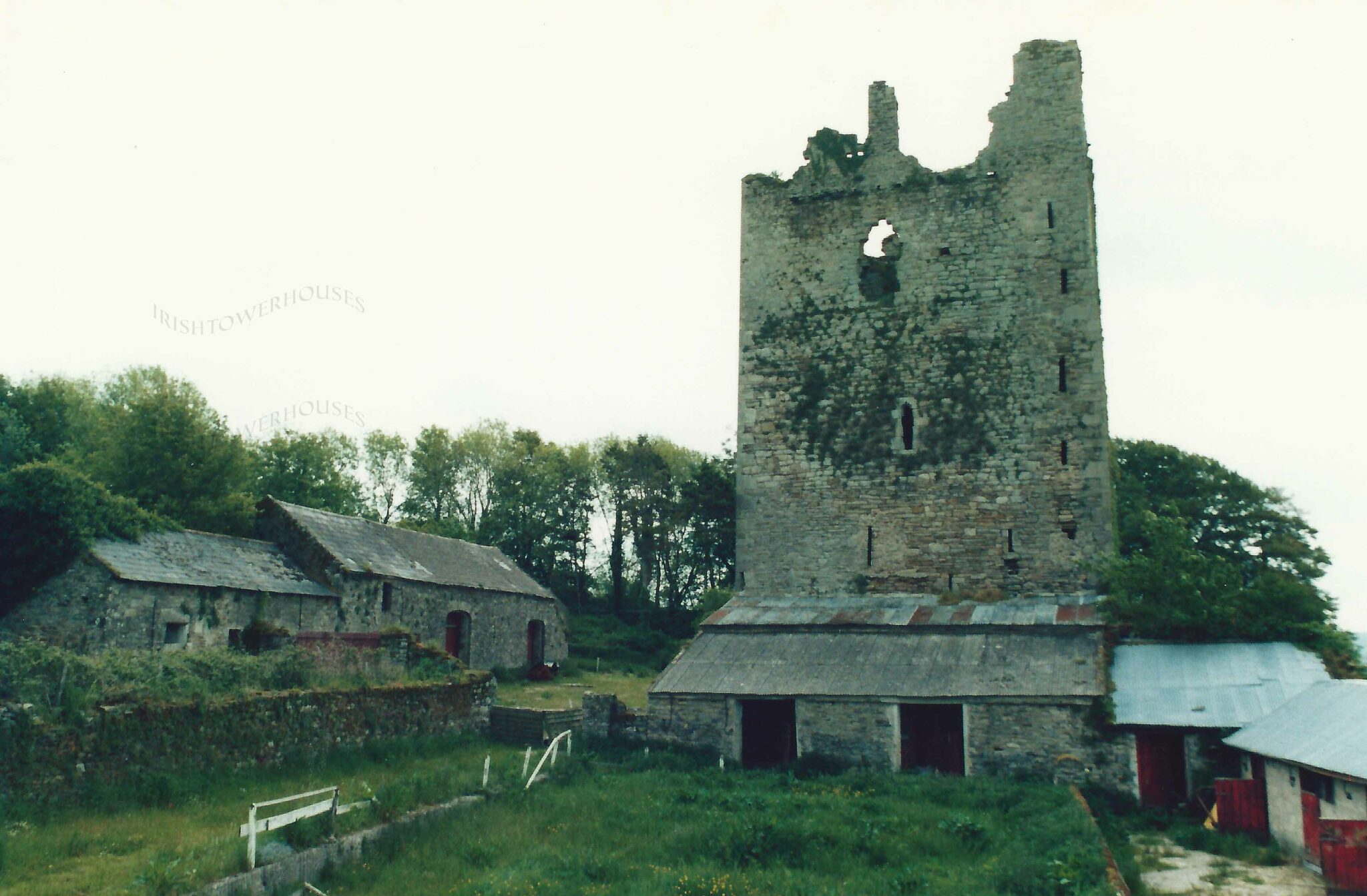 Lisfinny Castle, Co. Waterford - Irish Tower Houses & Castles